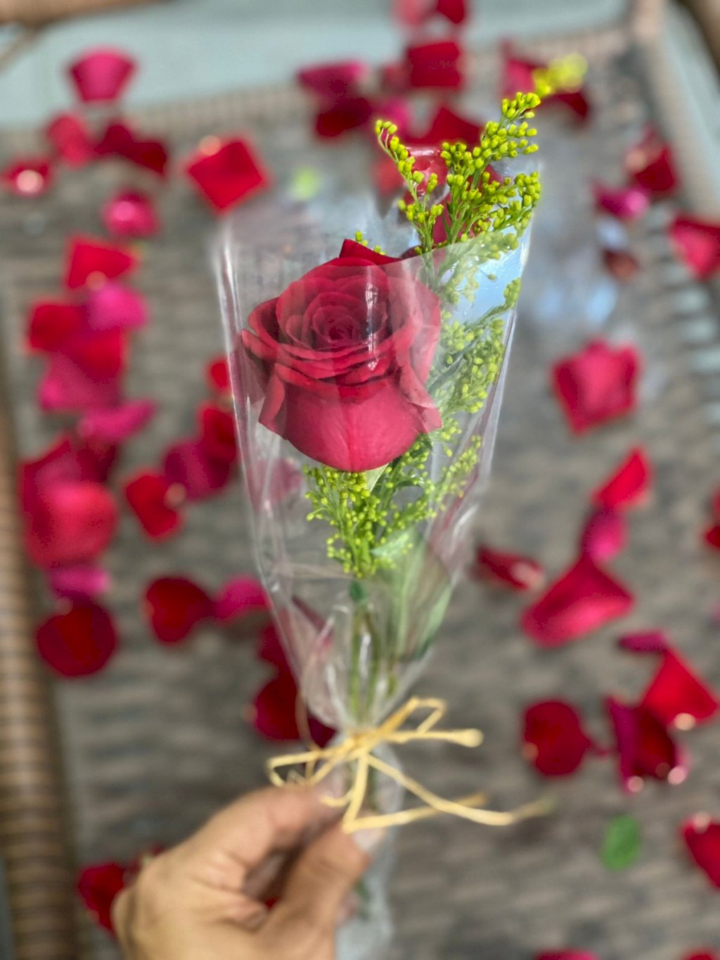 Catálogo Digital de Aurora Flores