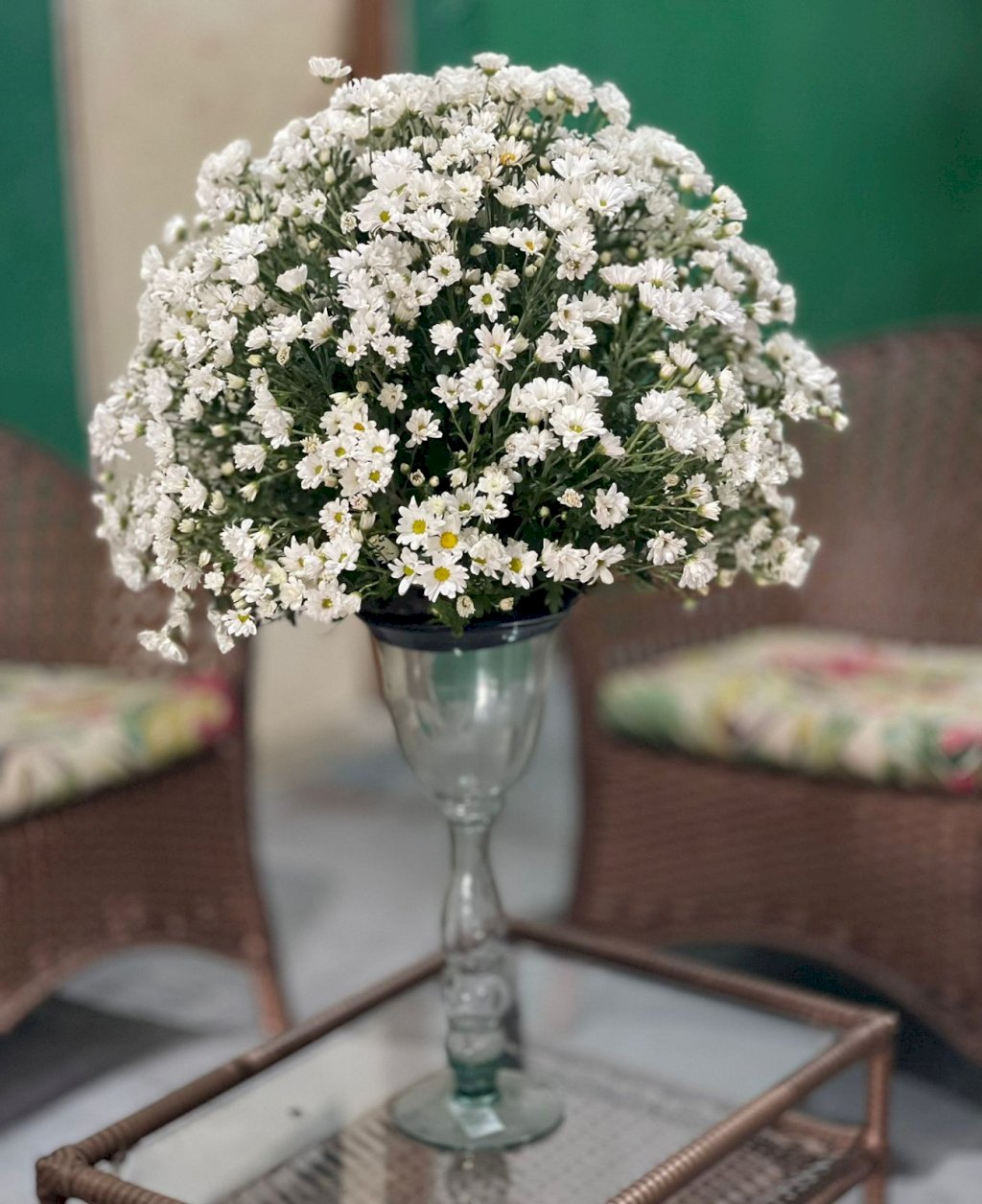 Catálogo Digital de Aurora Flores