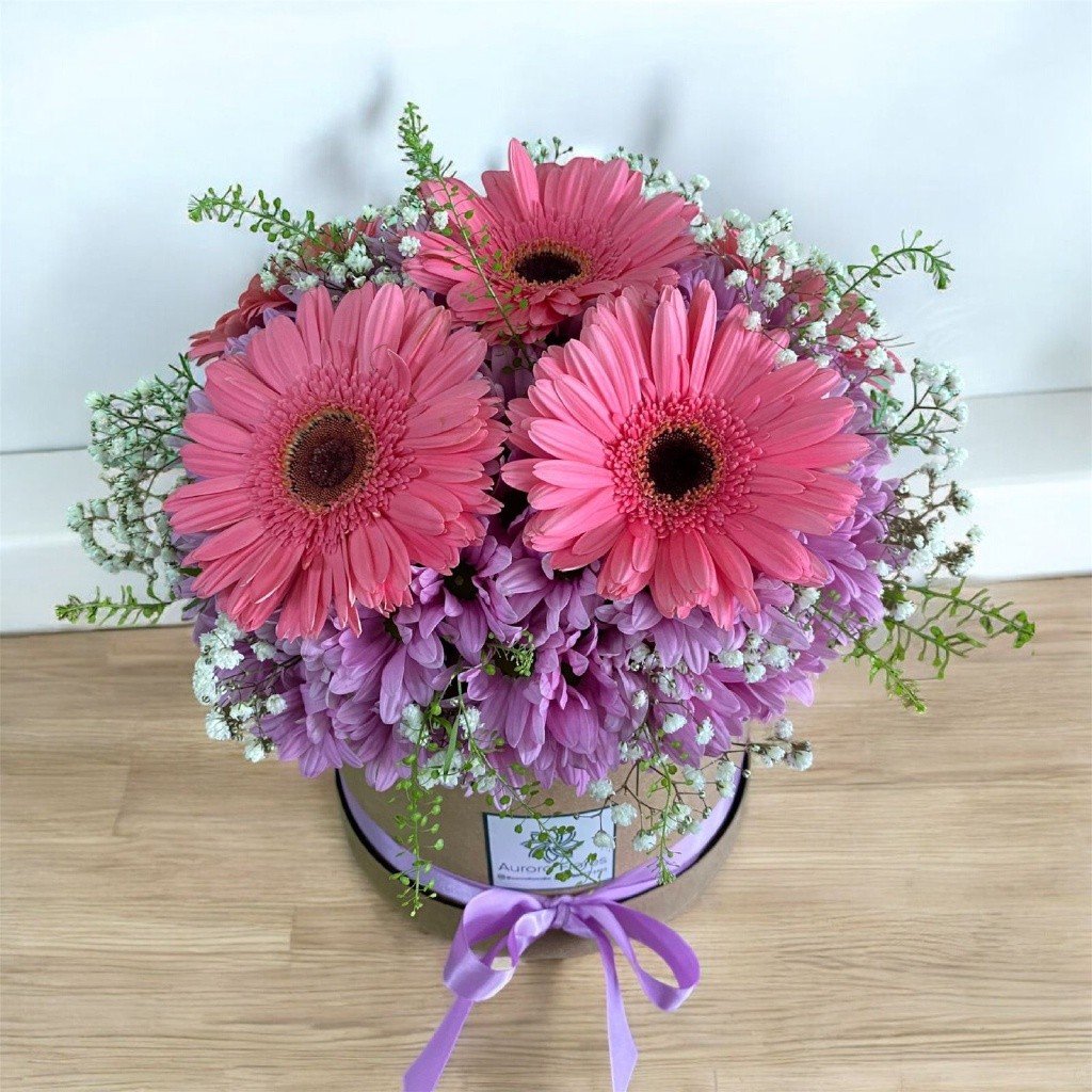 Catálogo Digital de Aurora Flores