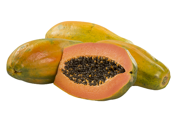 Catálogo Digital de Sacolão Total