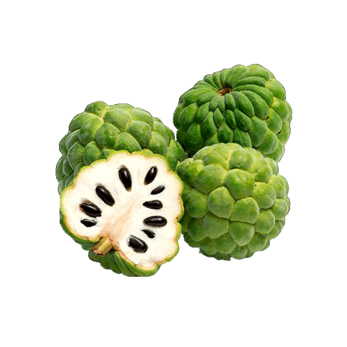 Catálogo Digital de Sacolão Total